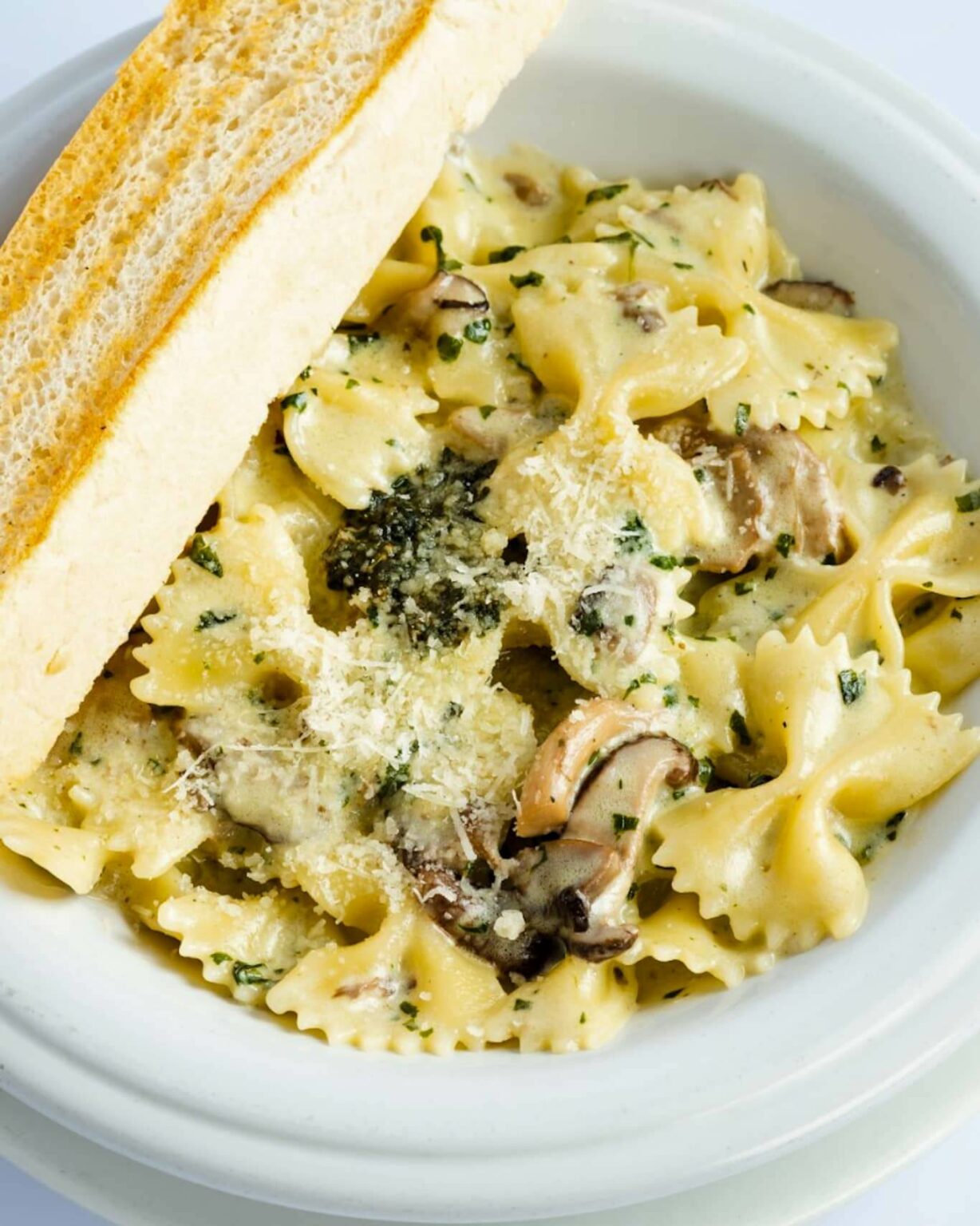 Cibo Menu Philippines (2025) — Philippine Menus